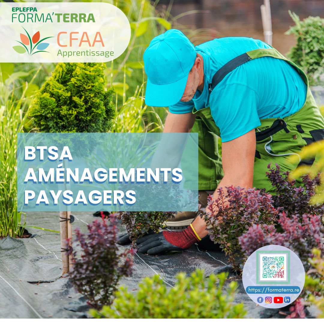 CFAA_BTSA_AP_2025_page_web – EPLEFPA FORMA'TERRA
